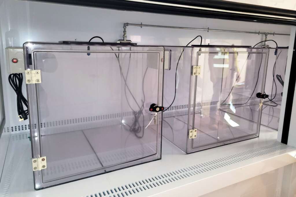 Ananda Developments - Tion