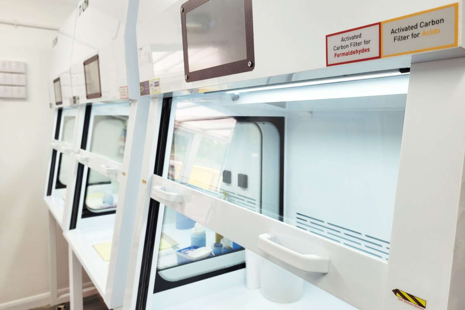 Finn Pathologists - Tion